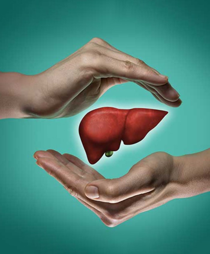 Groupe E.N. Biomédical